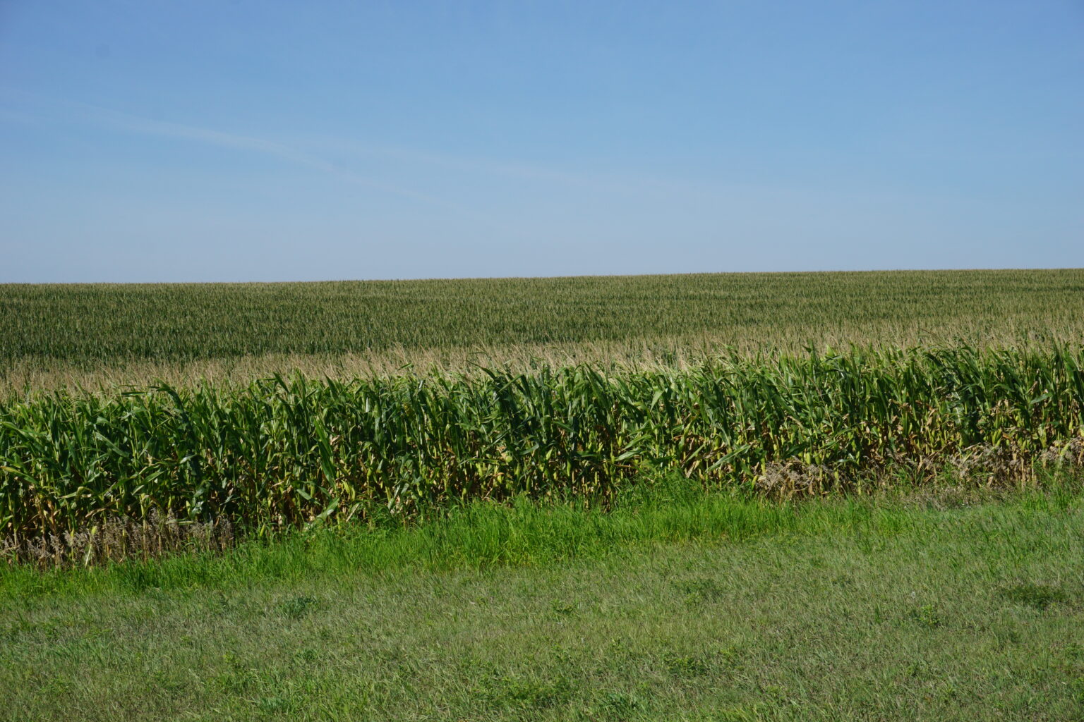 Waldo Realty | Farm, Ranch, and Recreational Properties in the Midwest