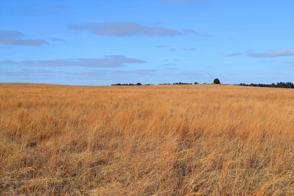 Holt County, Nebraska Pasture for Sale | Waldo Realty
